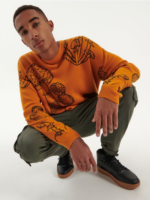 Swetry męskie ⋆ Ciepłe, wygodne, modne - House